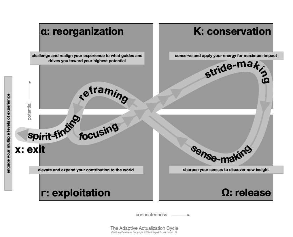 What is Adaptive Actualization? | Fulfill Your Potential Authentically ...